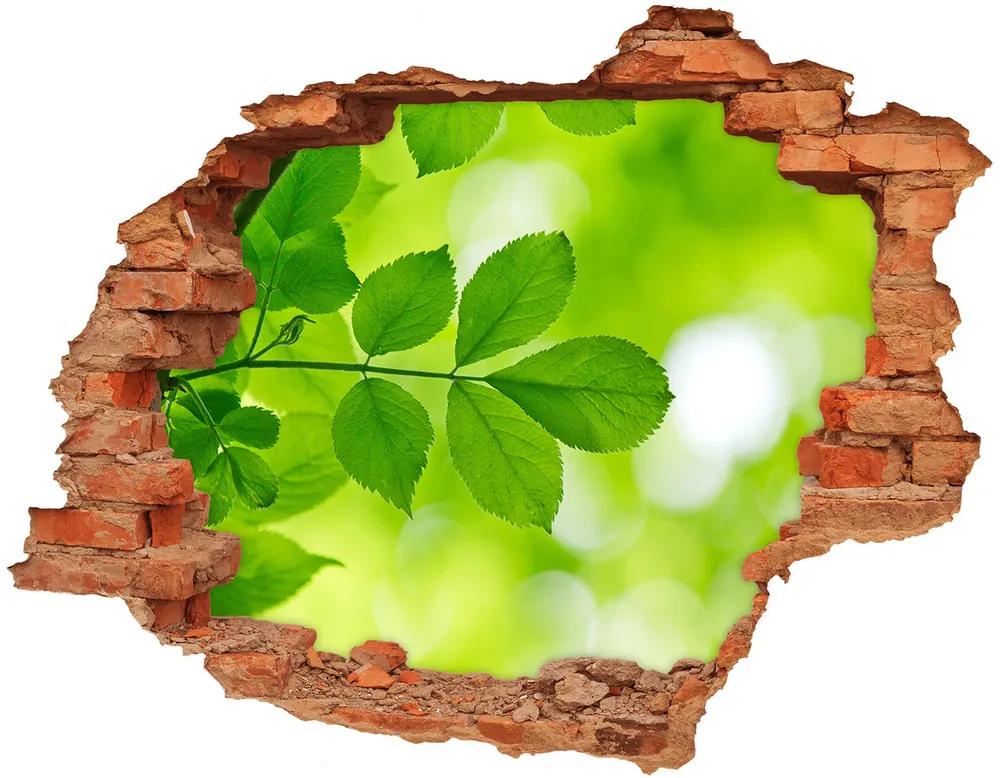 Wallmuralia Samolepící díra na stěnu Zelené listí 90x70 cm