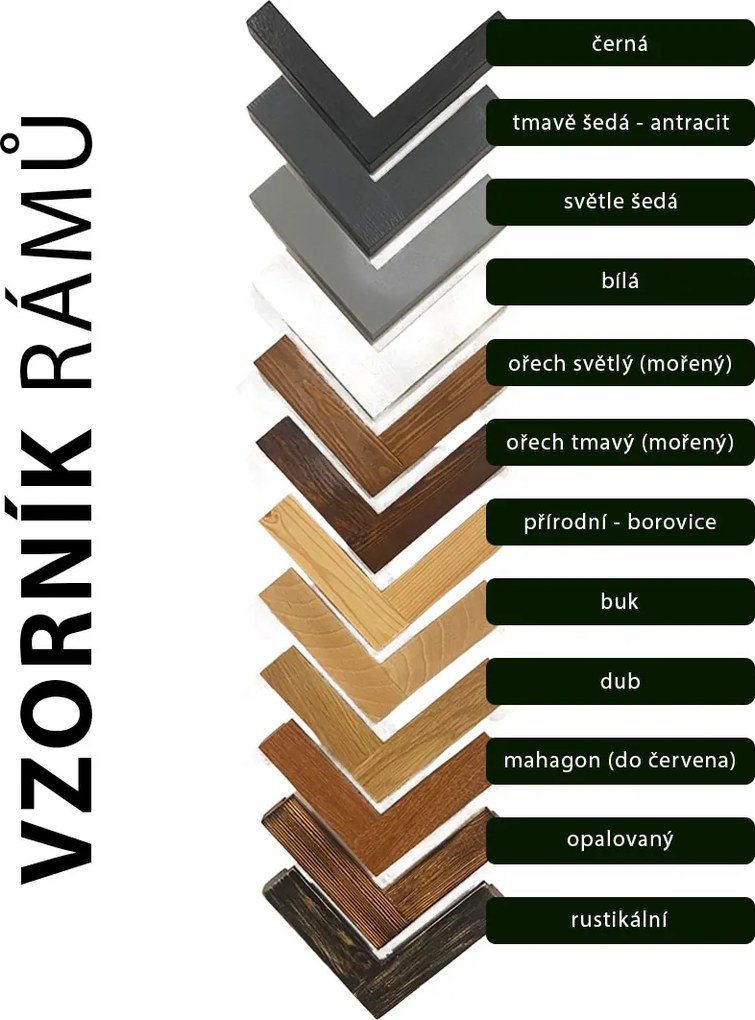 WOODILO Obraz ze stabilizovaného mechu a rostlin | 202603 Rozměr obrazu: 70x50 cm, Barva rámu: Rustikální (černá oprýskaná), Síla rámu (pohledová): 3,7 cm
