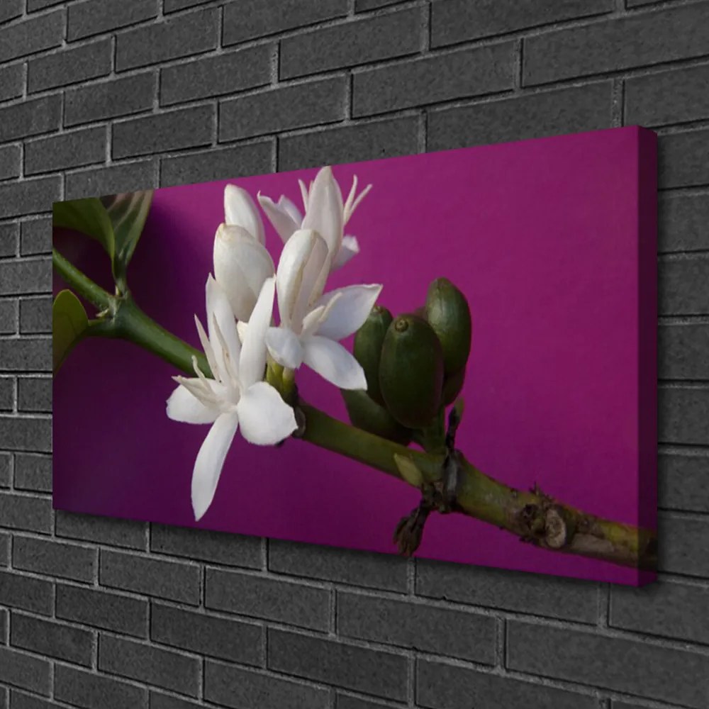 Obraz na plátně Květiny Úhonky Příroda 100x50 cm