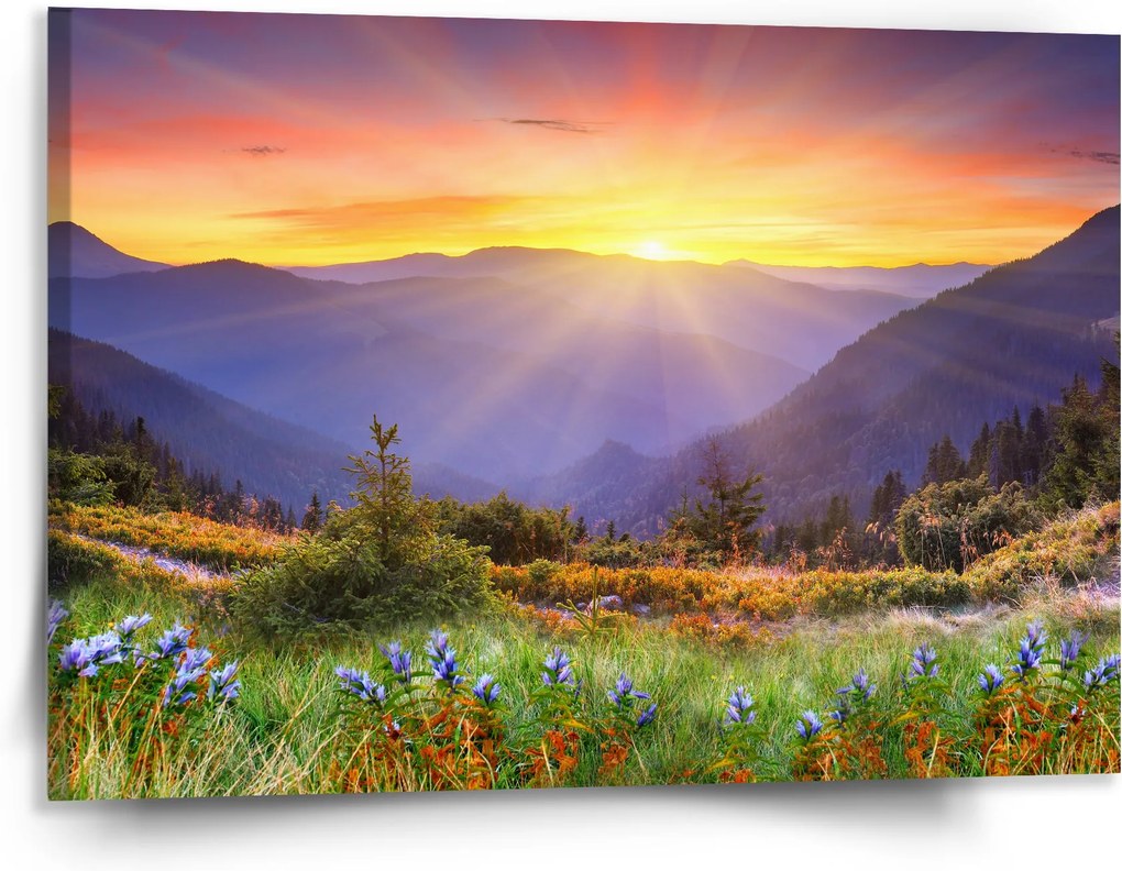 Obraz - Západ slunce nad lesem 150x110 cm