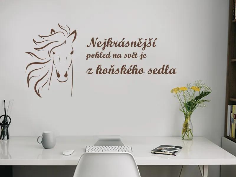Nalepte.cz Nejkrásnější je pohled z koňského sedla 40 x 20 cm