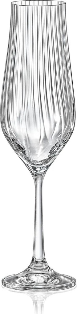 Crystalex Sklenice na sekt Tulipa Optic 170 ml 6 ks