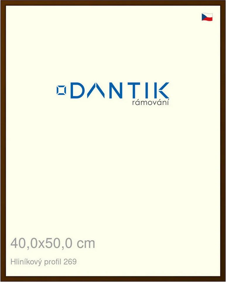 DANTIK rámeček 40x50 | ALU profil 7269 Hnědá umbra broušená (Sklo Čiré)