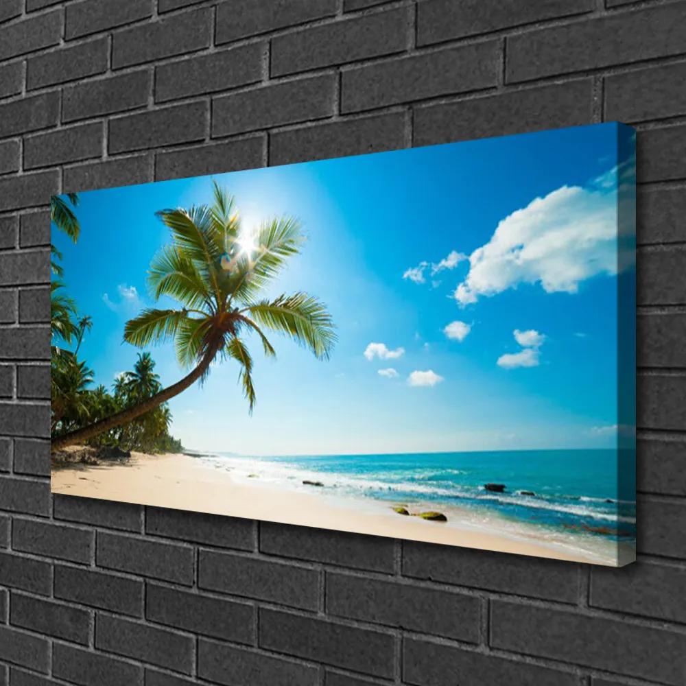 Obraz na plátně Palma Strom Pláž Krajina 140x70 cm