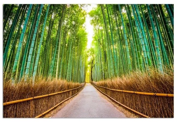 Obraz CARO - Bamboo Forest 40x30 cm