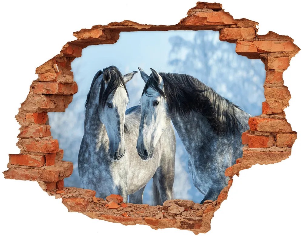 Wallmuralia Díra 3D fototapeta nálepka Šedí koně zima 90x70 cm