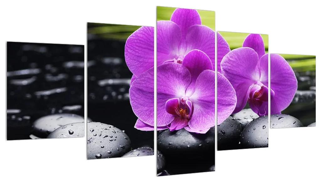 Obraz orchidejí (150x80 cm)