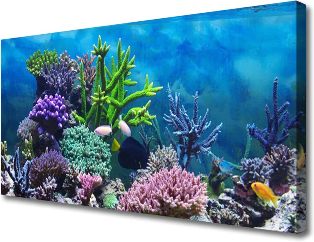 Obraz Canvas Akvárium Rybičky Pod Vodou