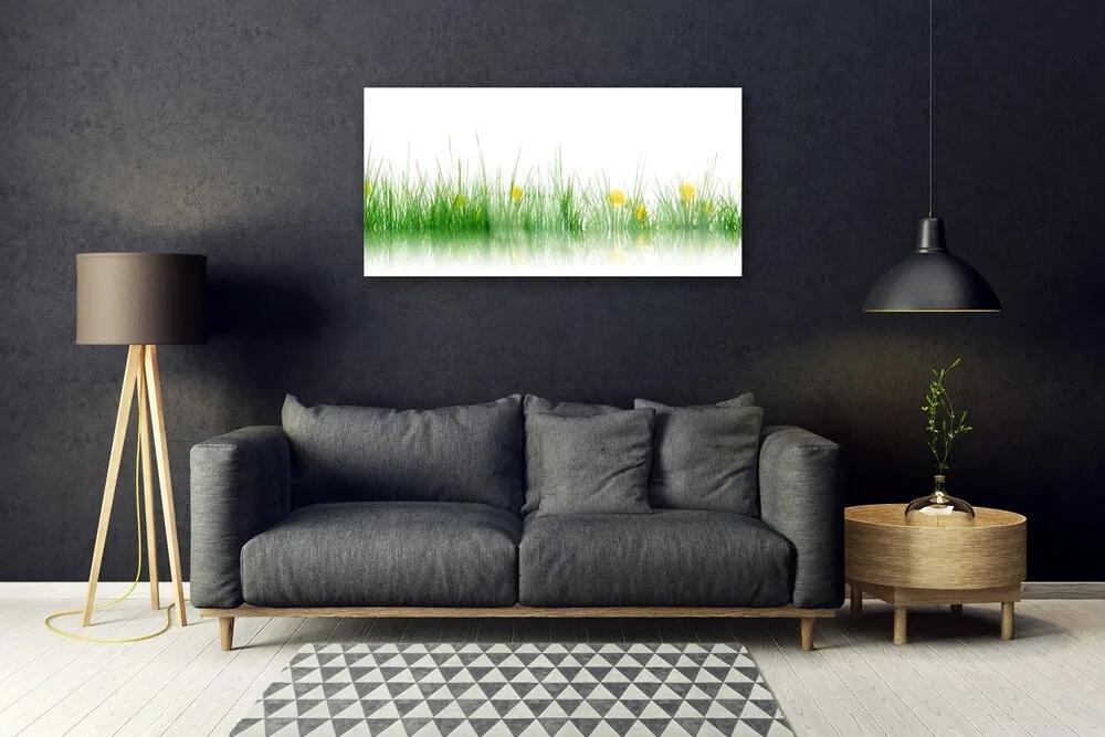 Obraz na skle Příroda Tráva Květiny 120x60 cm