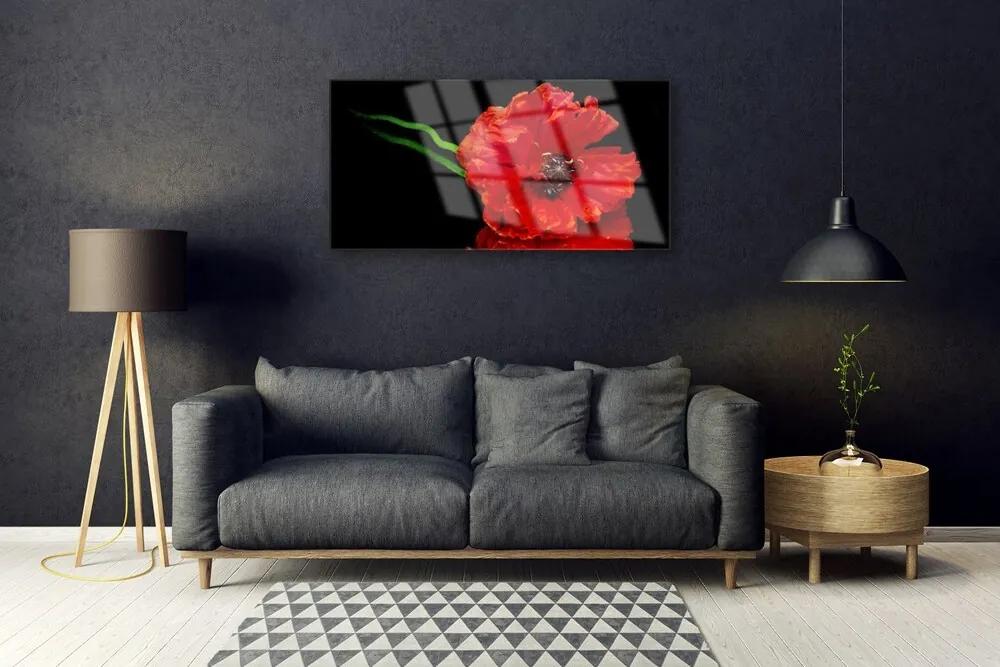 Obraz na skle Květ Mák Rostlina Příroda 100x50 cm