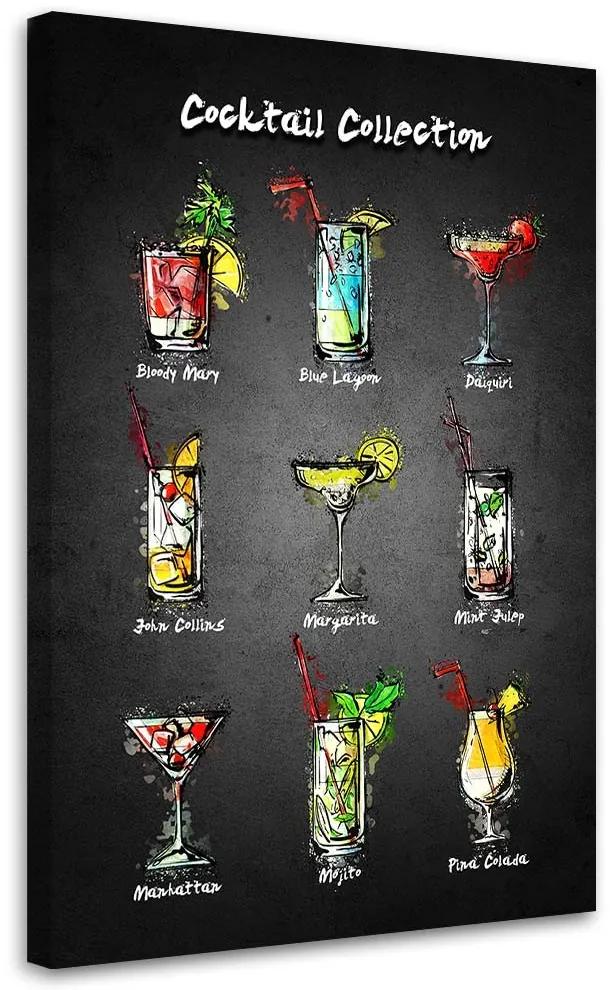Gario Obraz na plátně Kolekce koktejlů - Gab Fernando Rozměry: 40 x 60 cm