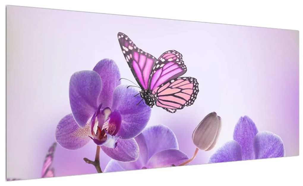 Obraz motýla na květech orchideje (100x40 cm)