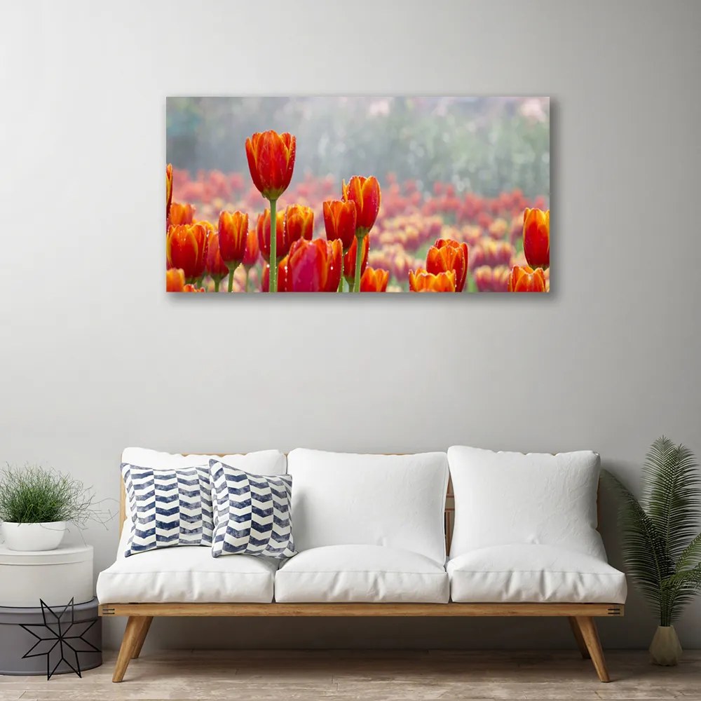 Obraz na plátně Tulipány Květiny Rostlina 100x50 cm