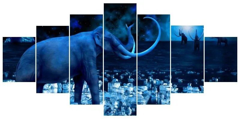 Obraz modrého slona  (210x100 cm), 40 dalších rozměrů