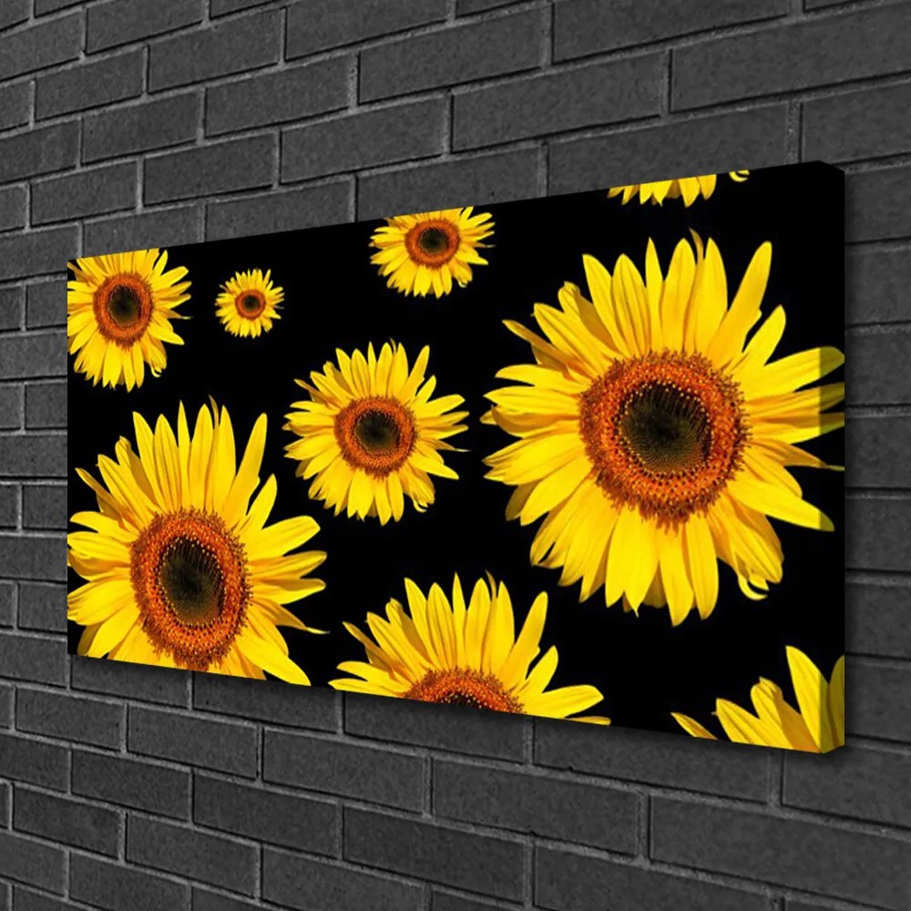 Obraz na plátně Slunečnice Rostlina Příroda 100x50 cm