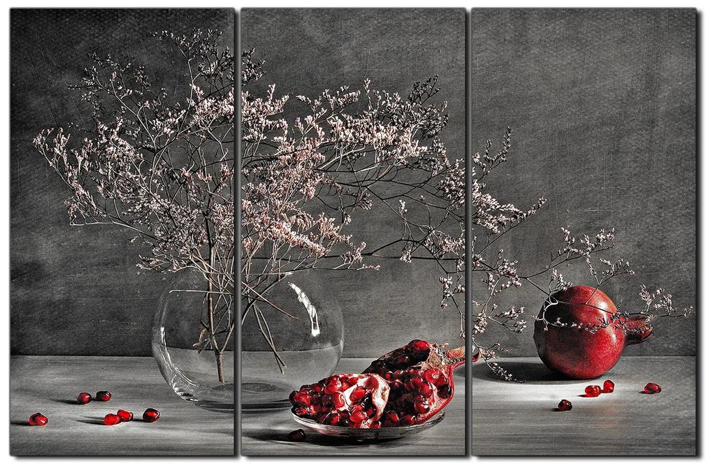 Obraz na plátně - Zátiší - větev a granátové jablko 1274QB (105x70 cm)