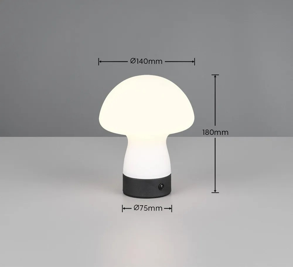 Matně bílá LED stolní lampa se skleněným stínidlem (výška 18 cm) Dooley – Reality