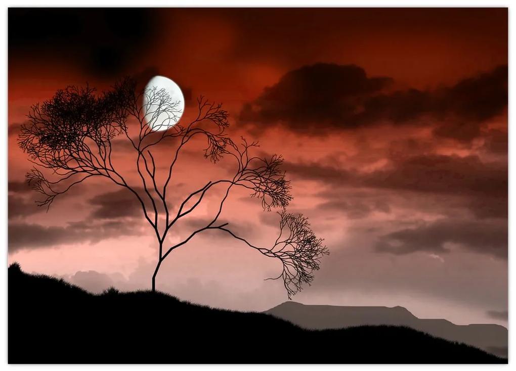 Obraz - Měsíc osvětlující noc (70x50 cm)