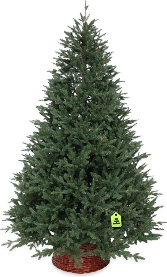 Umělý vánoční stromeček výška 150 cm Canadian Spruce 3D – Můj Stromeček