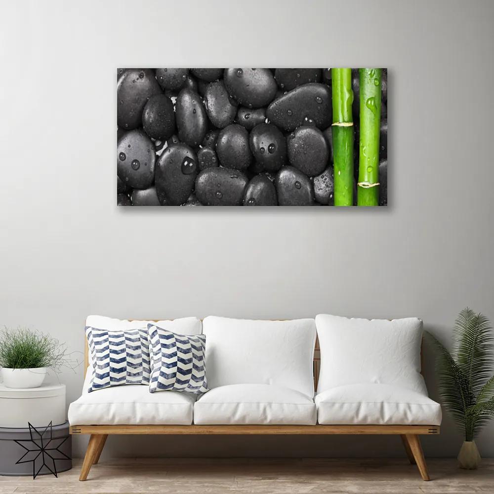 Obraz na plátně Bambus Stonek Kameny 140x70 cm
