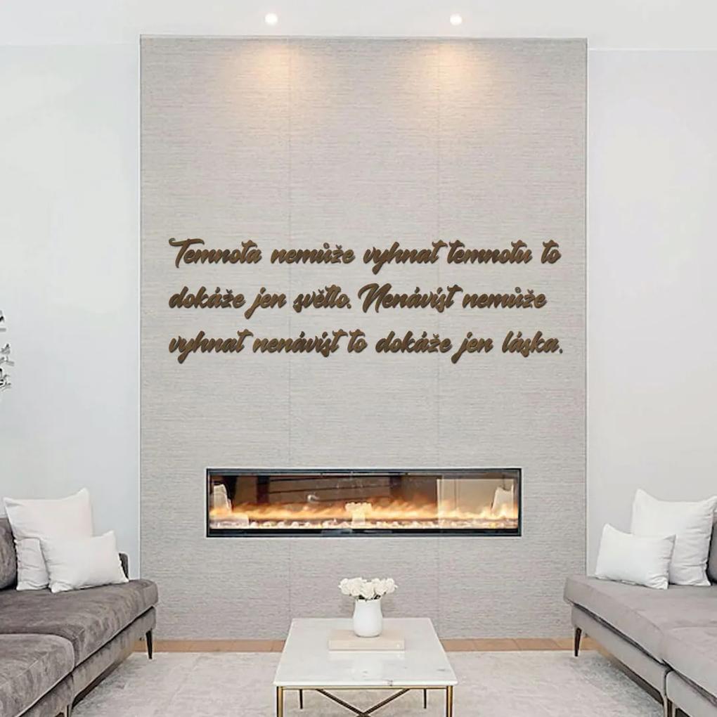 dřevo života Dřevěný nápis na zeď SVĚTLO Barevný vzor: Bílá, Velikost textu: 60x19