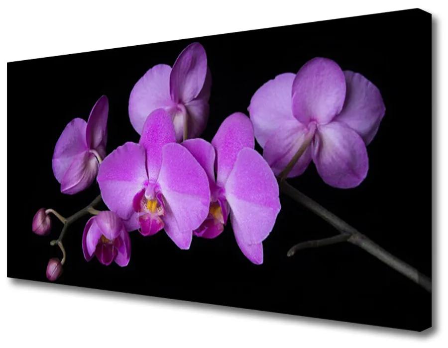 Obraz na plátně Vstavač Orchidej Květiny 125x50 cm