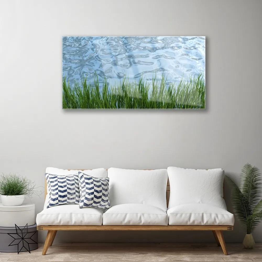akrylový obraz Tráva Voda Příroda 100x50 cm