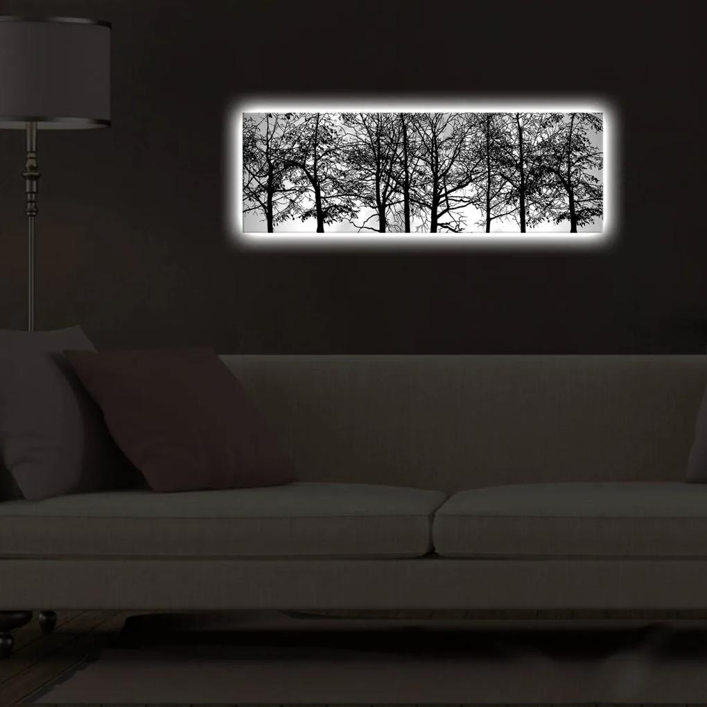 Obraz s LED osvětlením VĚTVE STROMŮ 72 30 x 90 cm