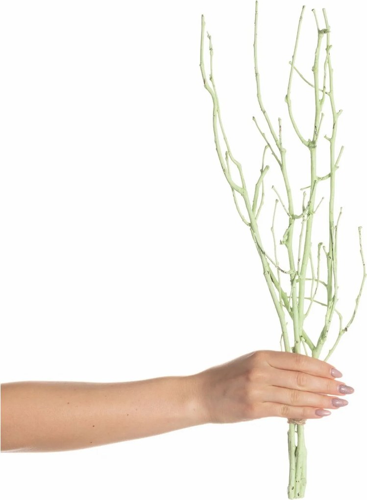 Lísková větev 50cm light green