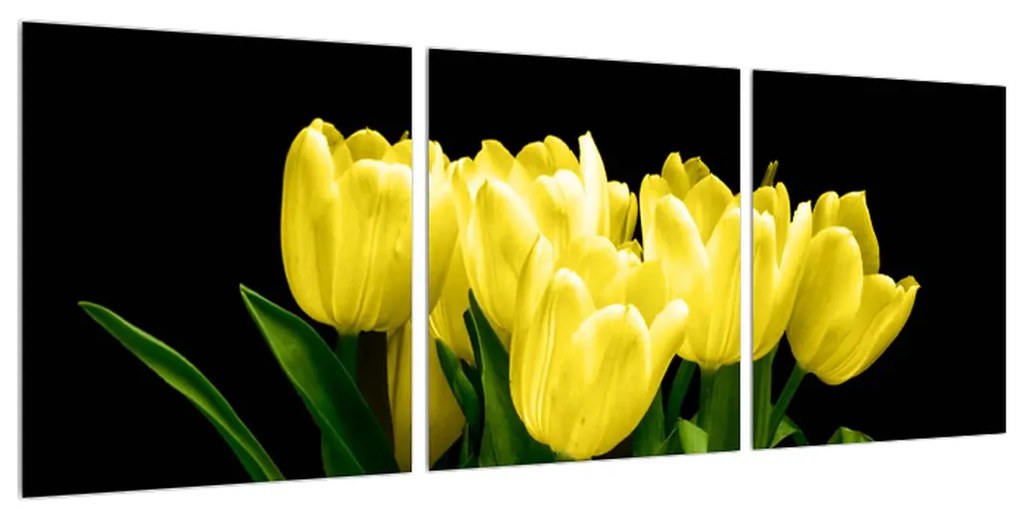 Obraz žlutých tulipánů (90x30 cm)