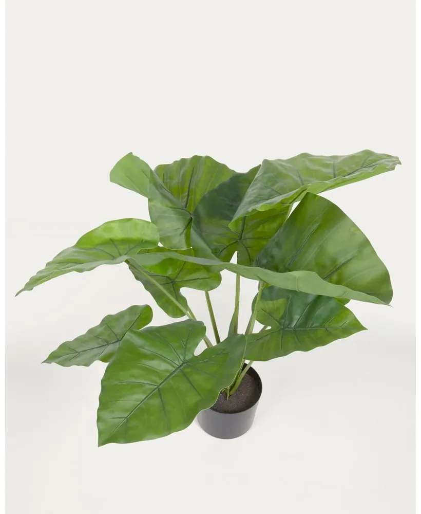 Umělá rostlina (výška 57 cm) Odora – Kave Home