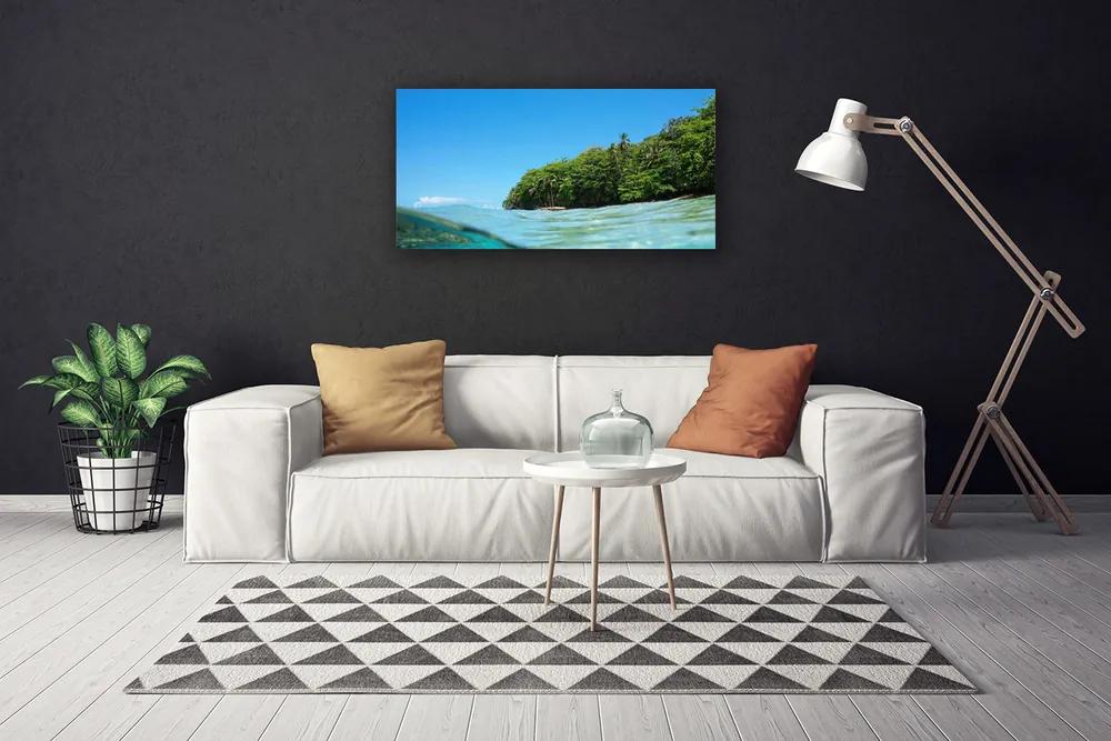 Obraz na plátně Moře Strom Krajina 100x50 cm