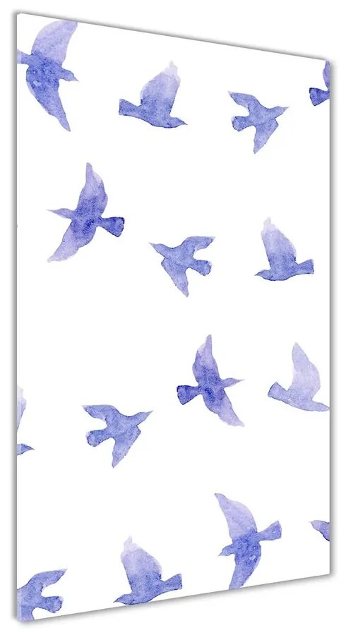 Wallmuralia Foto obraz akrylový Modré vlaštovky 50x100 cm