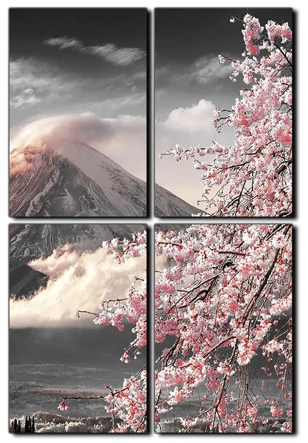 Obraz na plátně - Hora Fuji a třešňové květiny na jaře- obdélník 7266QE (120x80 cm)
