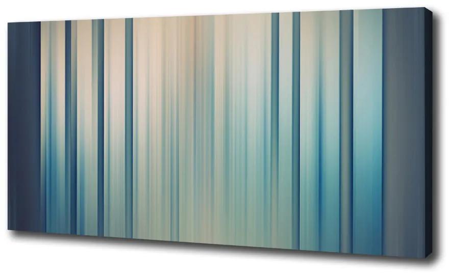 Wallmuralia Foto obraz na plátně do obýváku Modré pásky 100x50