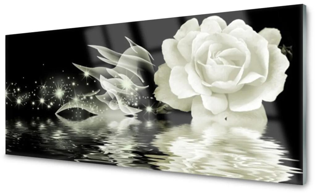 Obraz na skle Skleněný Růže Květ