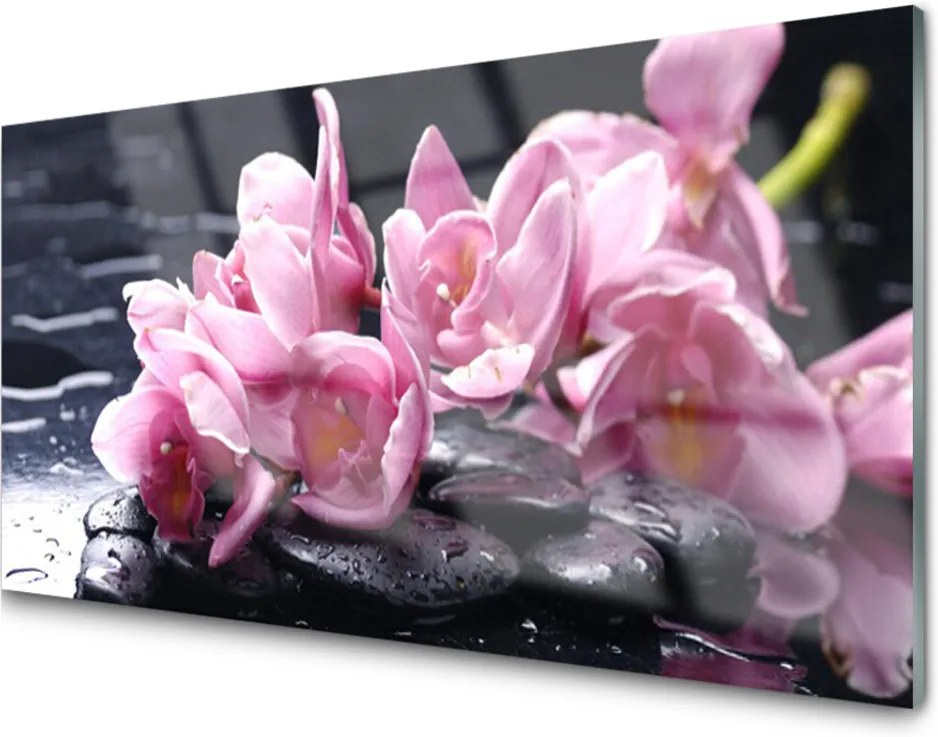 Akrylové obraz Květ Kameny Rostlina