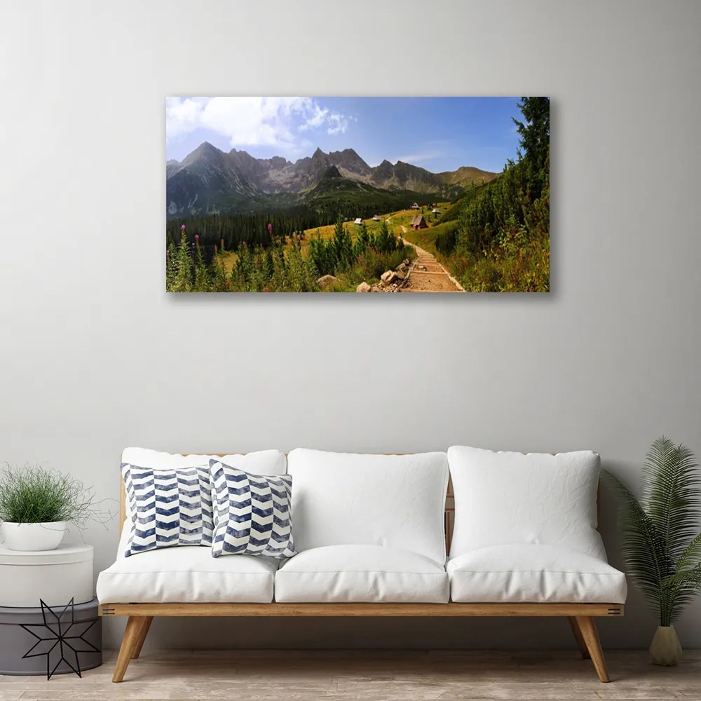 Obraz na plátně Hala Góry Droga Natura Łąka 125x50 cm