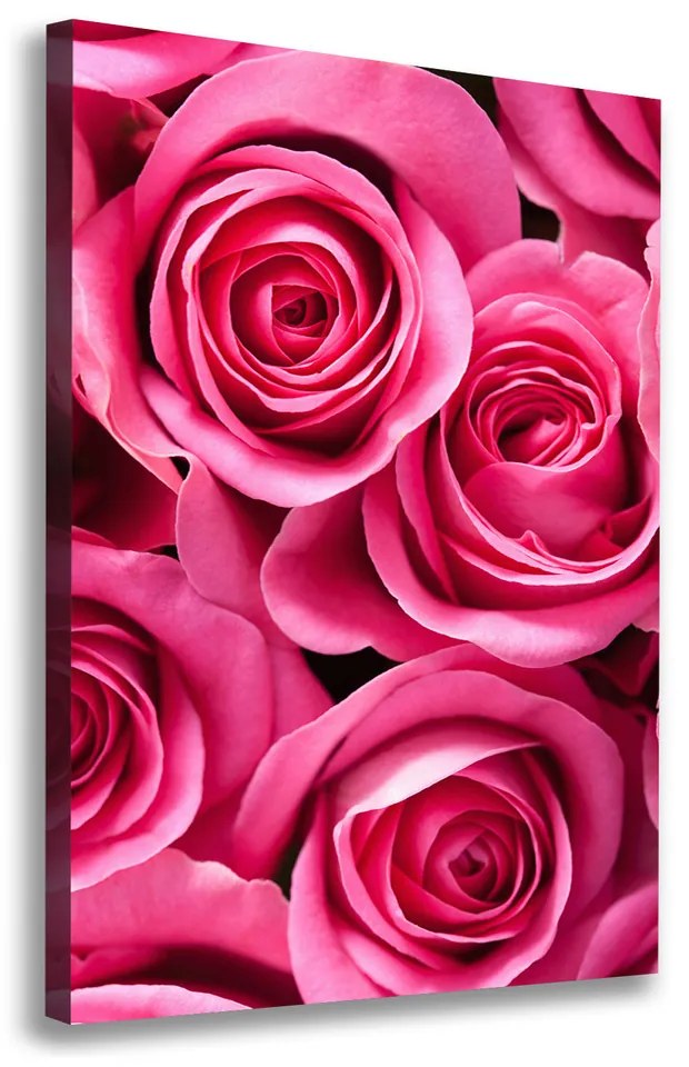Wallmuralia Foto obraz na plátně do obýváku Růžové růže 70x100 cm