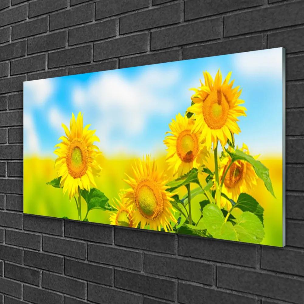 Obraz na skle Slunečnice Květiny Příroda 120x60 cm