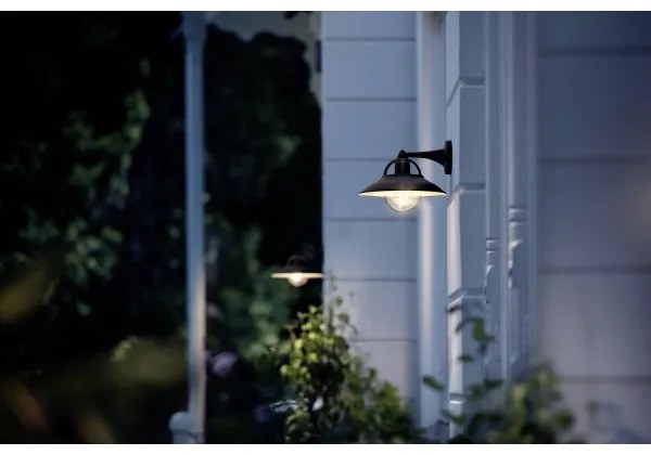 Philips 17381/30/PN - Venkovní nástěnné svítidlo COMORANT 1xE27/42W/230V IP44