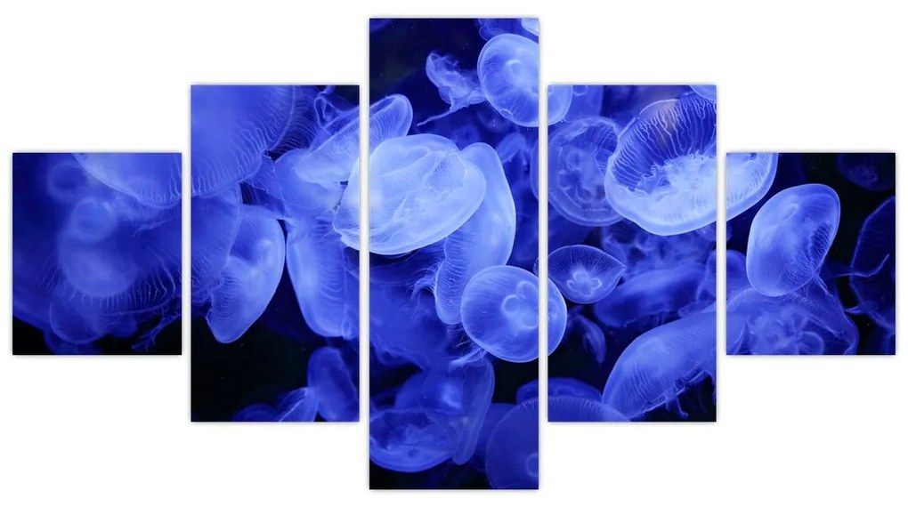 Obraz - Medúzy (125x70 cm)