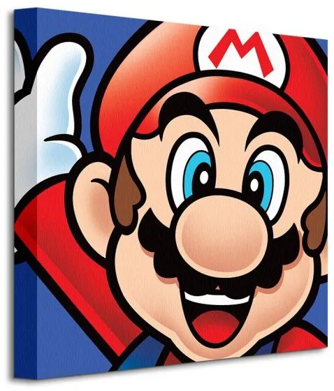 Obraz na plátně Nintendo Super Mario (Mario) 40x40cm WDC95441