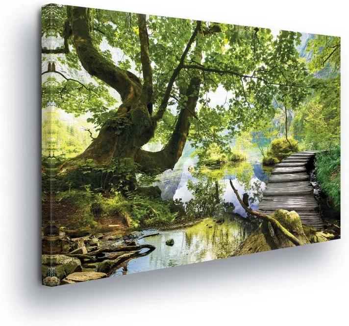 GLIX Obraz na plátně -  Lesní Potok II 100x75 cm