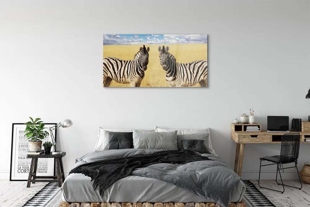 akrylový obraz zebra box 125x50 cm
