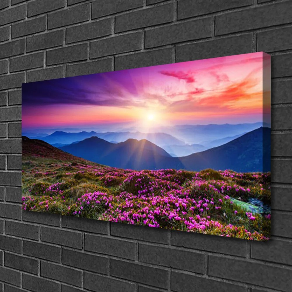 Obraz na plátně Hora Louka Květiny Krajina 100x50 cm