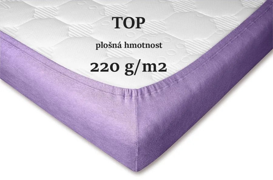 DADKA Froté prostěradlo fialové Rozměr 100x200x20