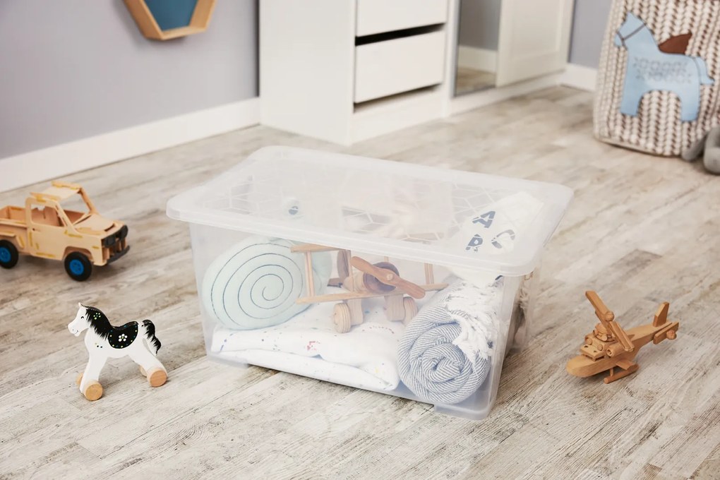 Rotho Univerzální úložný box, krabice s víkem, EVO, transparent - 58x39x28, 44l