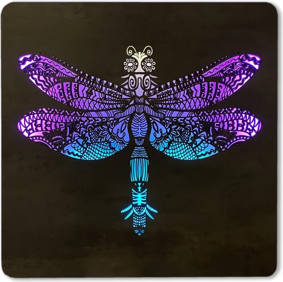 Li-Go "Vážka" světelný obraz RGB s baterií 62x62 cm provedení povrchu: dub světlý