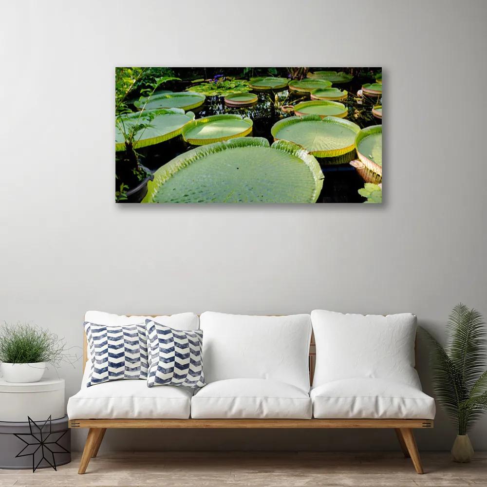Obraz na plátně Listy Jezero Příroda 120x60 cm